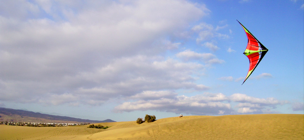 Straight Line Flight | AERIALIS Kites
