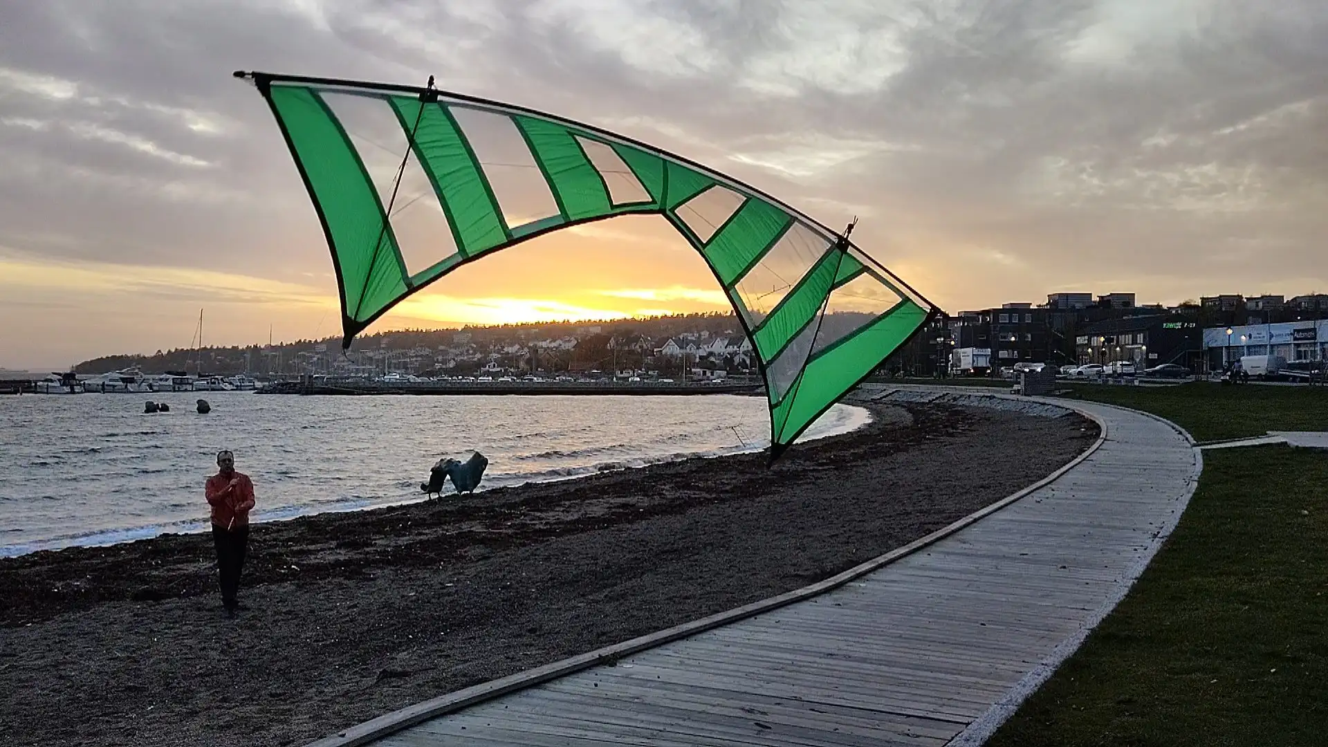 Flying in the Fall | AERIALIS Kites