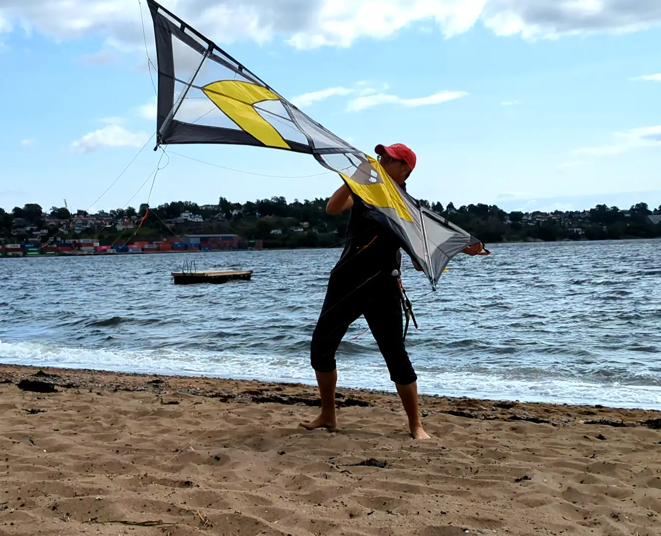 Kind of Like Dancing | AERIALIS Kites