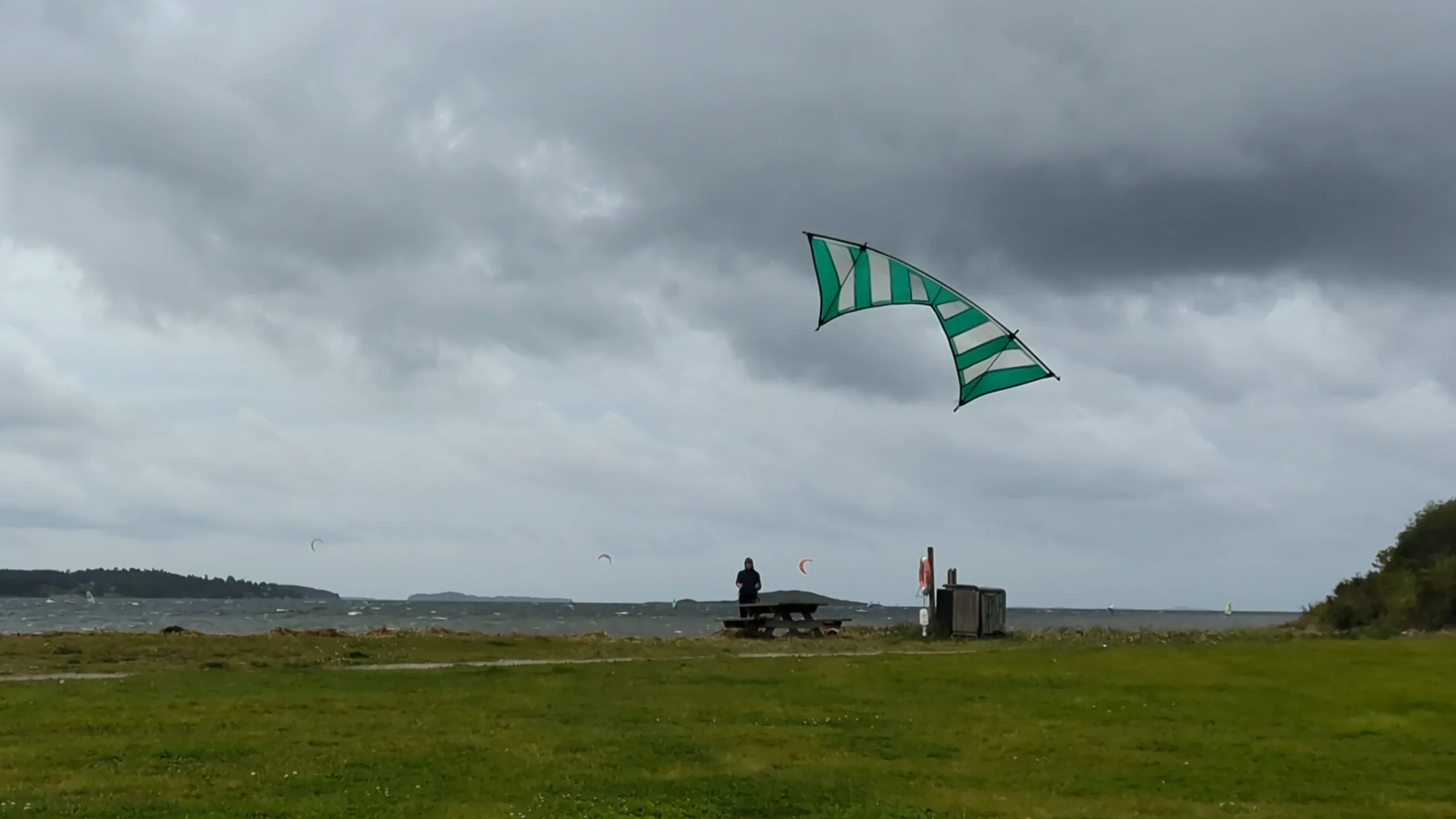The 3 x Vented Green Kite | AERIALIS Kites